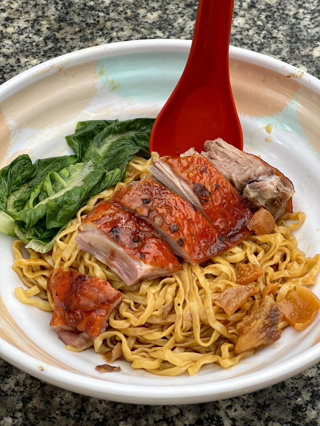 Zen Restaurant Shamelin Roast Duck Hakka Mee | Chiefeater.com